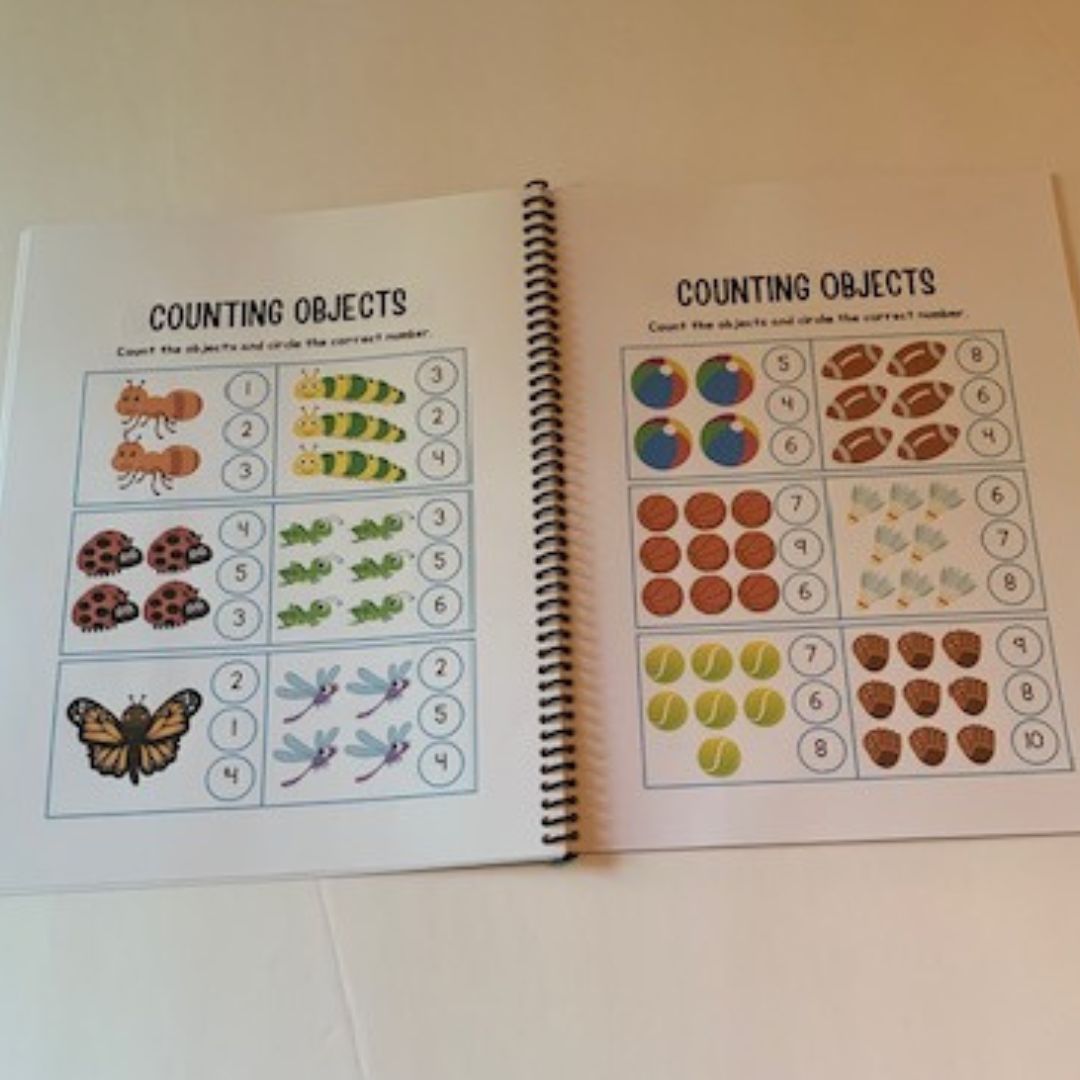 Preschool Practice Workbook – Butterfly Treasures
